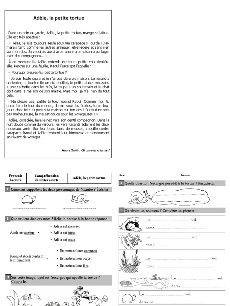 Lecture Comprehension Niveau 02 Adele La Tortue | PDF