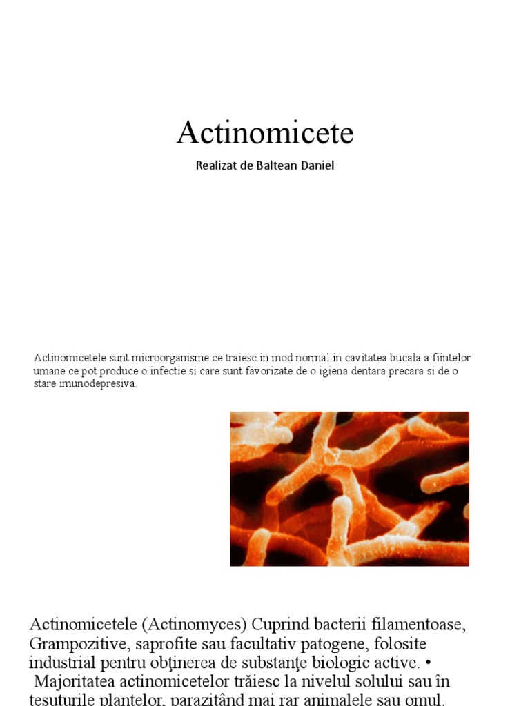 Actinomicete | PDF