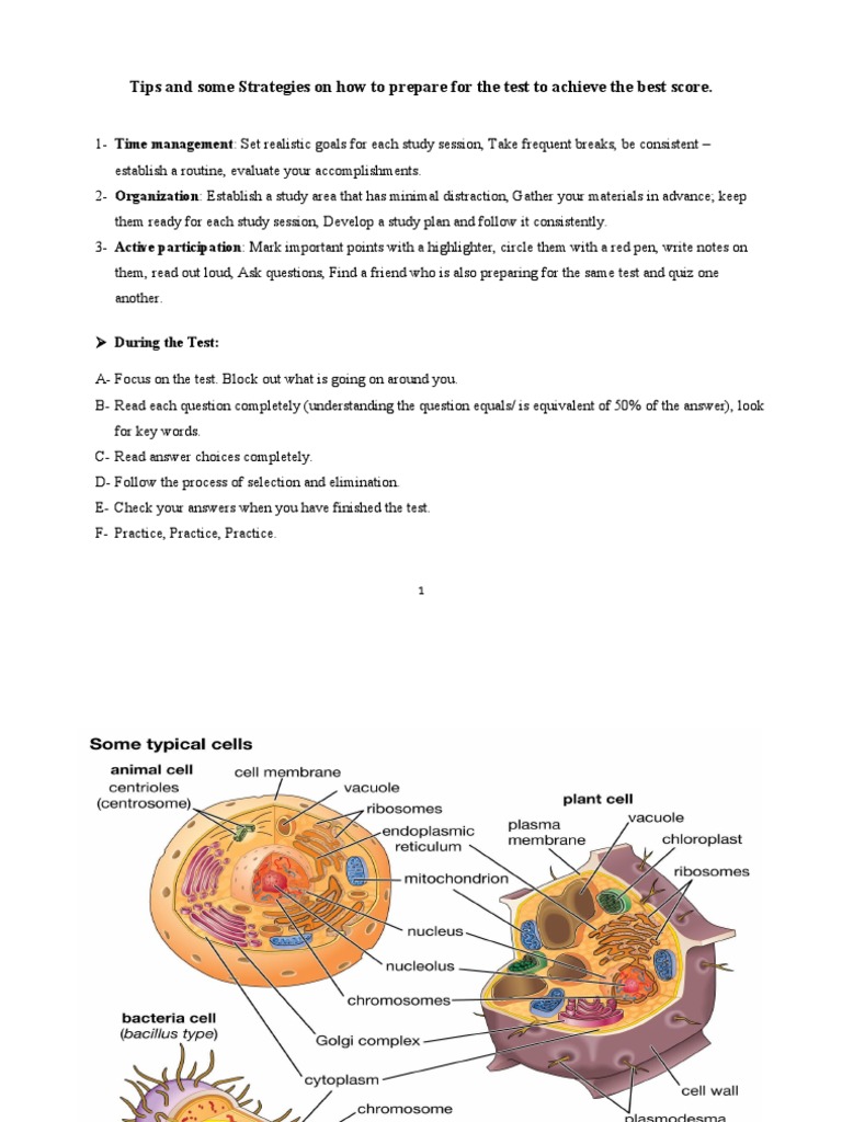 Biology Vocabulary | PDF | Dna | Rna