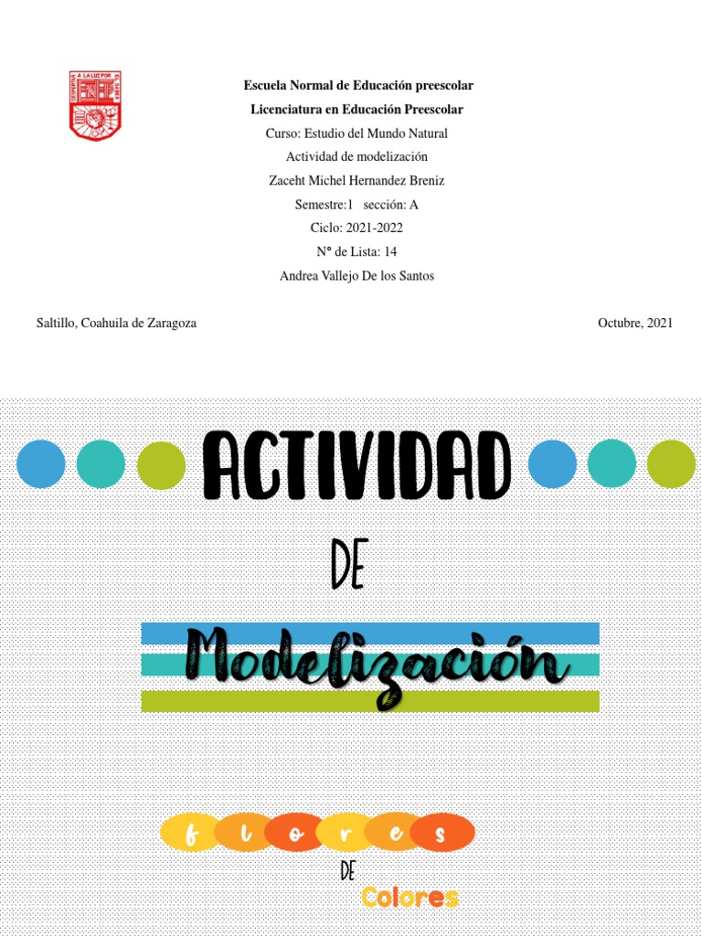 Actividad de Modelización | PDF | Color | Flores