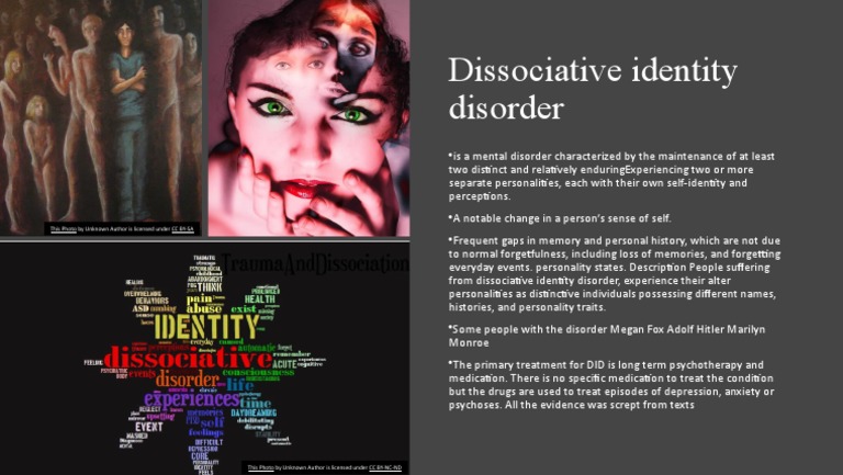 Did System | PDF | Mental Disorder | Dissociation (Psychology)