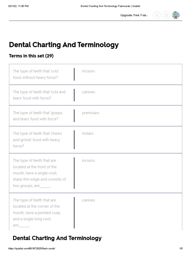Dental Terminology for Students | PDF | Dentistry | Tooth