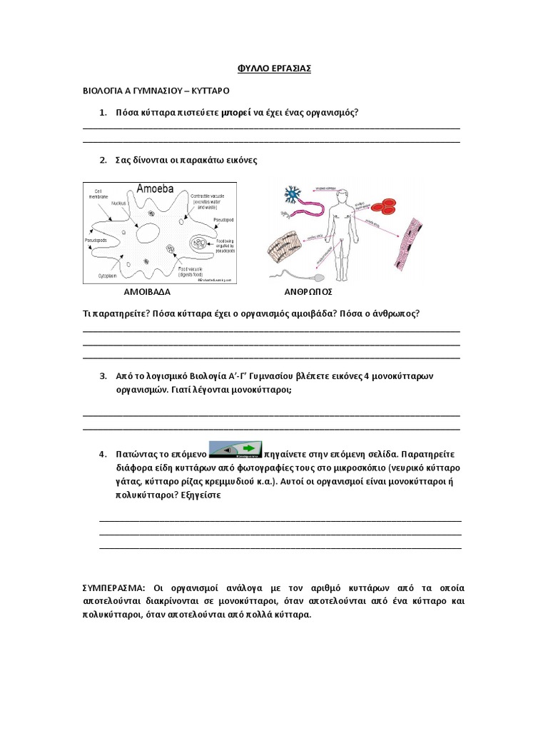 ΦΥΛΛΟ ΕΡΓΑΣΙΑΣ Κυτταρο α Γυμνασιου | PDF
