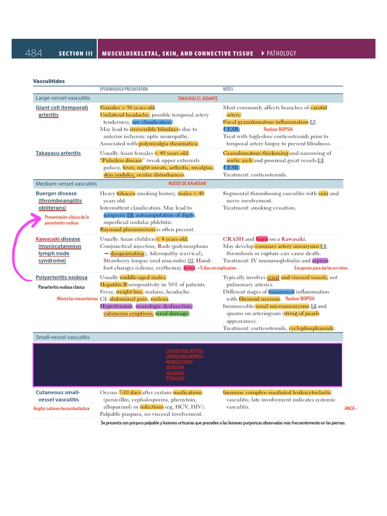 Vasculitis Step | PDF | Medical Specialties | Diseases And Disorders