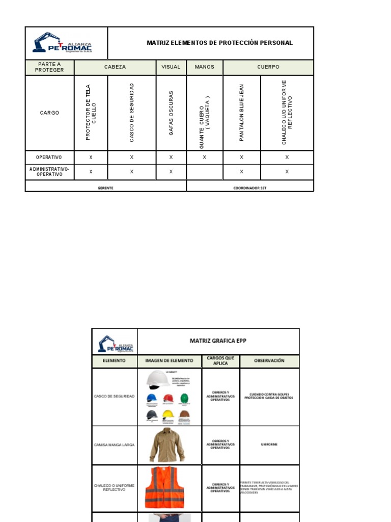 2 1 Matriz De Epp Pdf