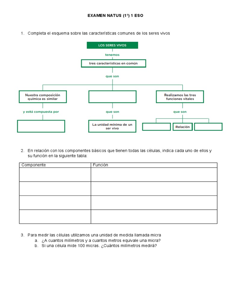 Examen 1 ByG 1 Eso | PDF