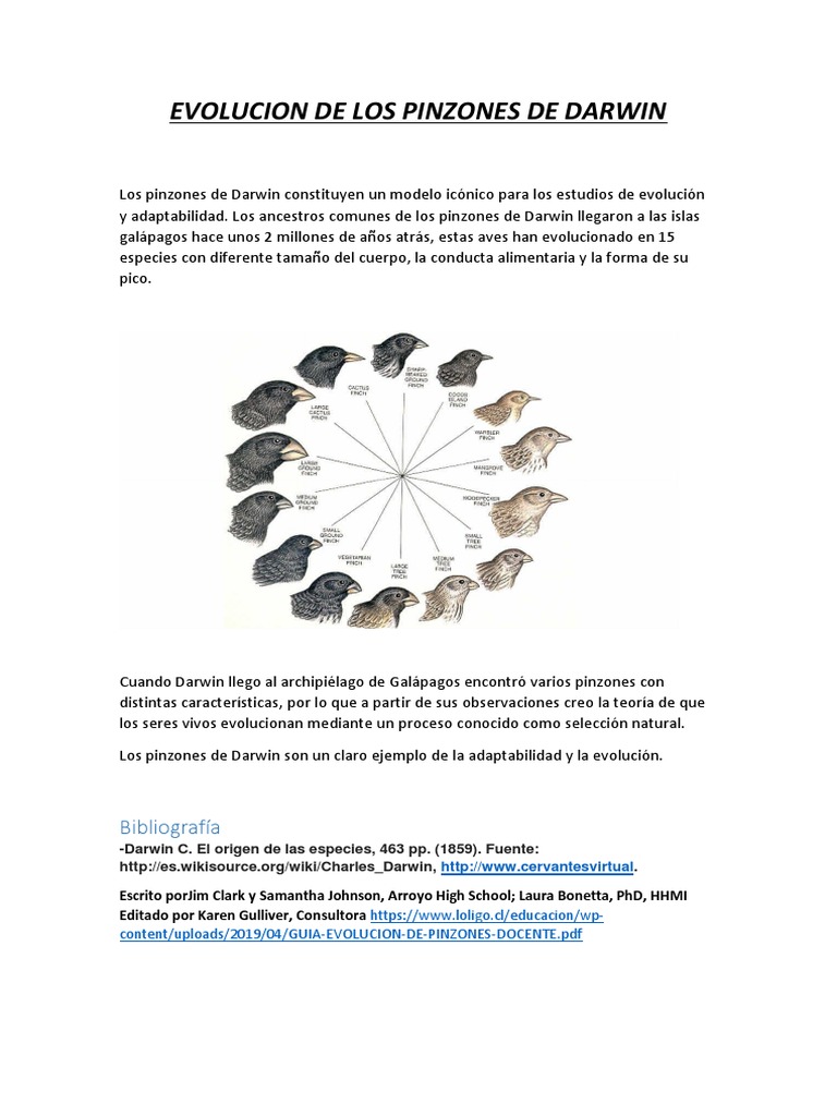 Evolucion de Los Pinzones de Darwin | PDF