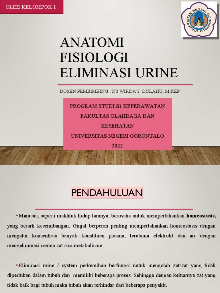 Kel 1. Anatomi & Fisiologi Eliminasi Urine | PDF