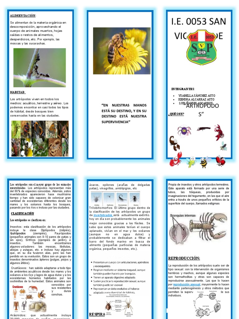 Triptico de Antropodos | PDF | Insectos | Reproducción