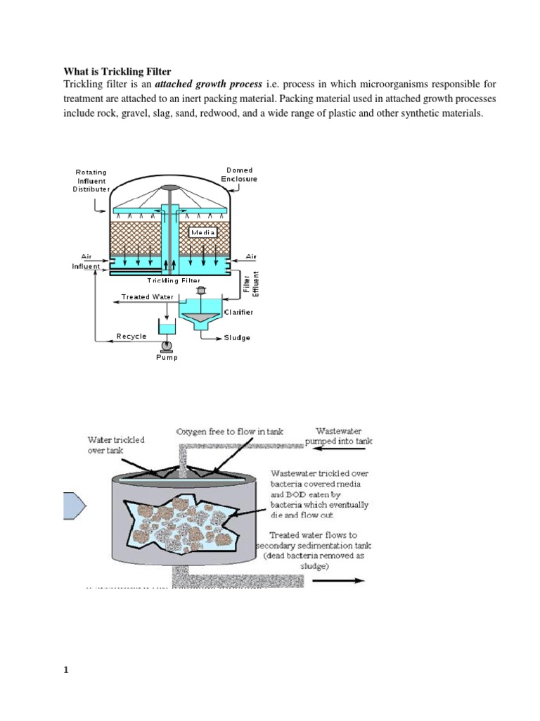 Topic 6.3 Trickling Filters Notes | PDF | Sewage Treatment | Filtration