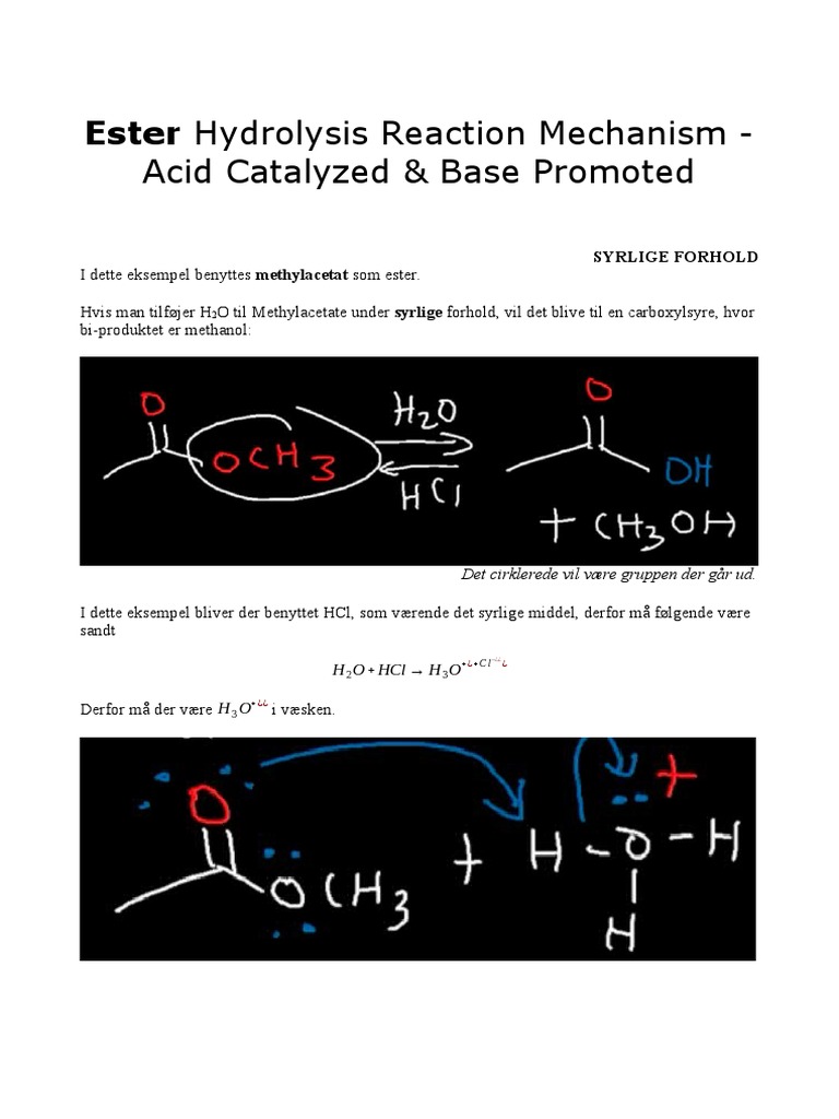 Ester Hydrolysis Reaction Mechanism | PDF