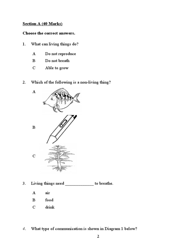 Latihan Sains Tahun 1 Pdf