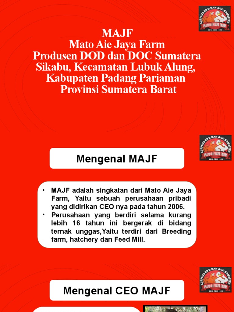 Majf 2 | PDF | Memasak, Makanan, & Anggur