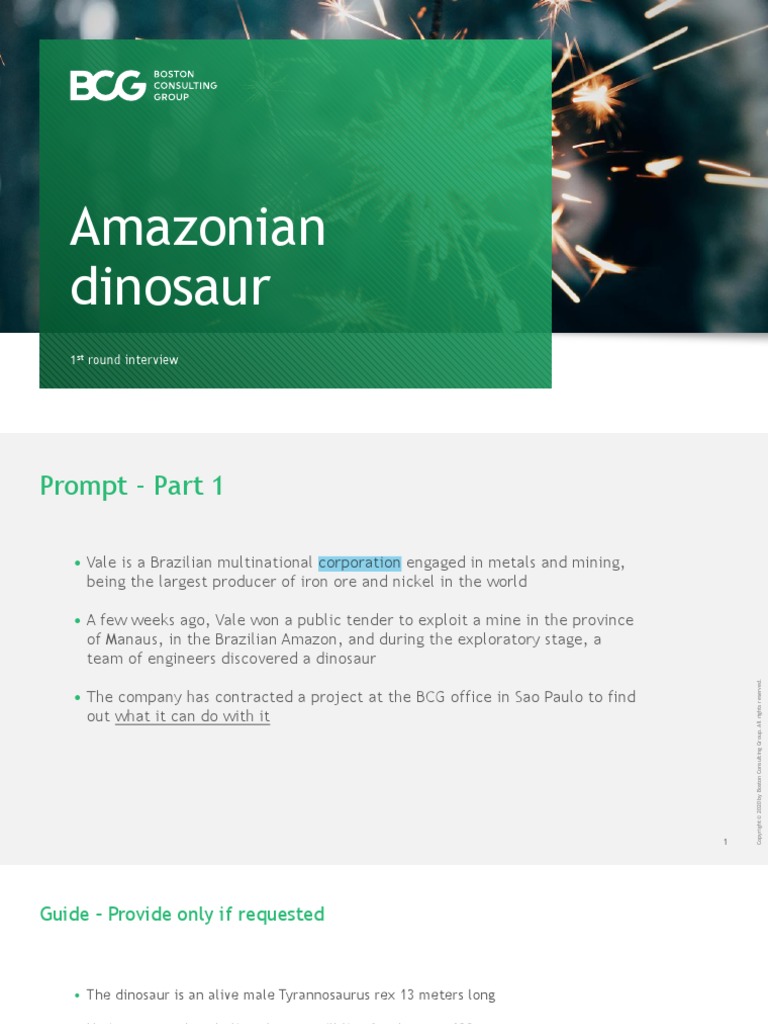 BCG Round 1 Amazonian Dinosaur 3 1 | PDF | Copyright | Airport