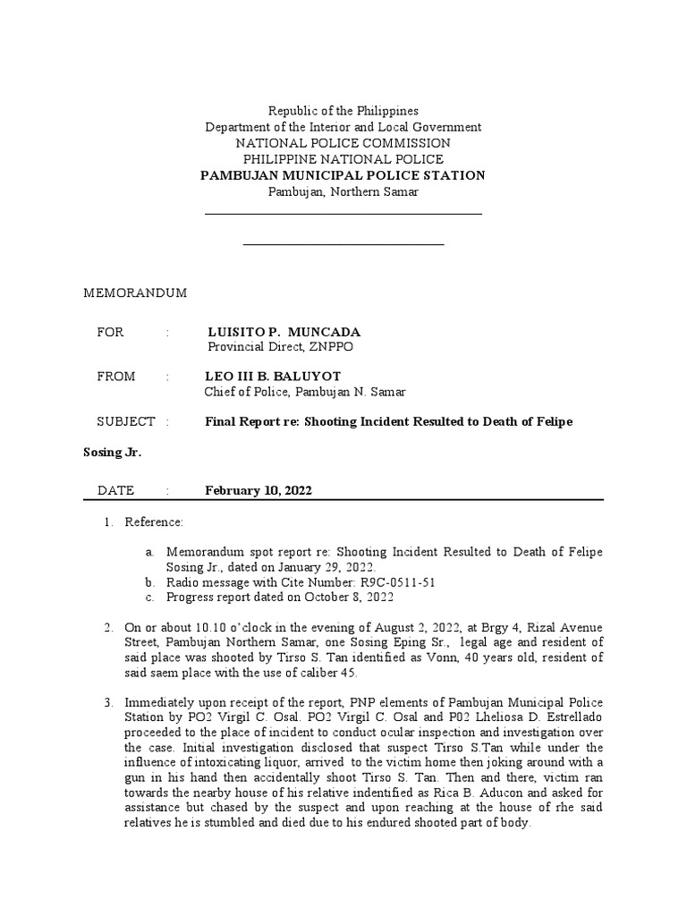 Final Report (Revised) | PDF | Police | Crimes