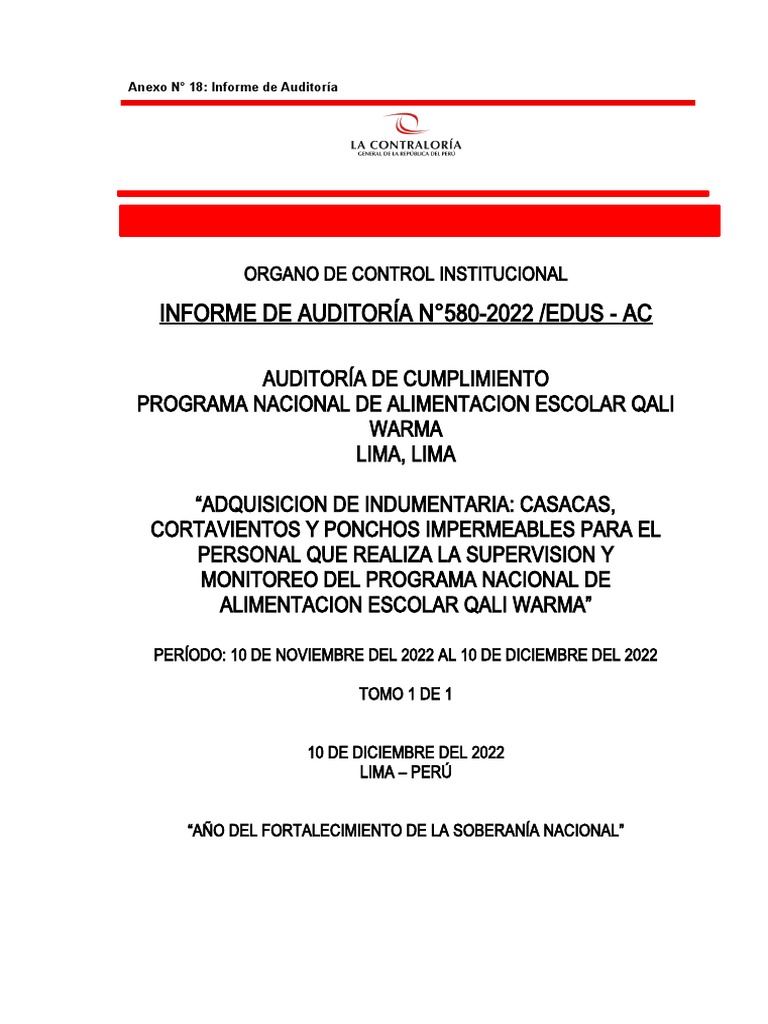 Anexo #18 - Informe de Auditoría | PDF | Auditoría | Educación primaria