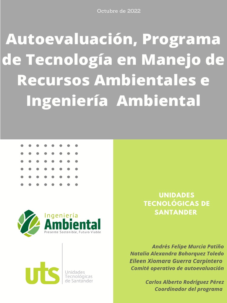 Autoevaluación Del Programa | PDF | Método de enseñanza | Evaluación