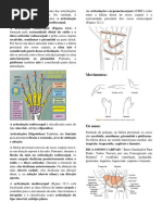 Aula 6 Ossos, Músculos, Inervação e Vascularização Do Punho e Mão | PDF ...
