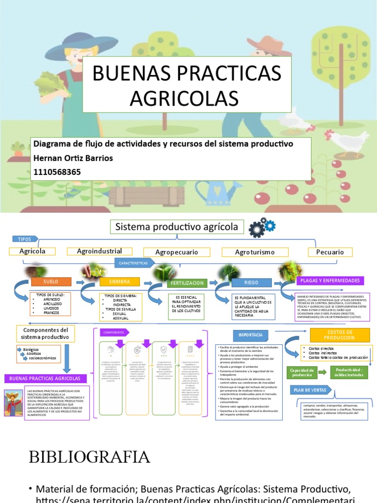 Actividad 1 Diagrama de Flujo de Actividades y Recursos Del Sistema ...
