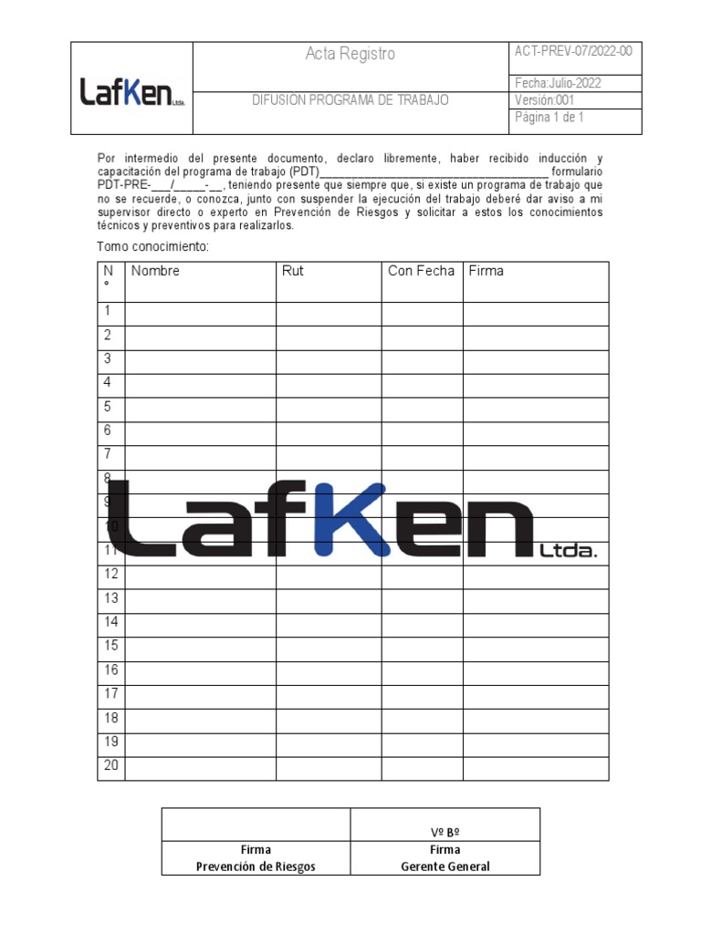 Act-Prev-07-Registro Programas Minsal | PDF