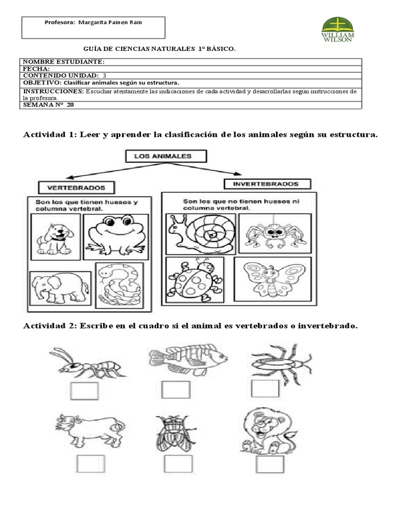 Semana N°20 Ciencias Naturales Los Animales | PDF | Ciencia y matemáticas