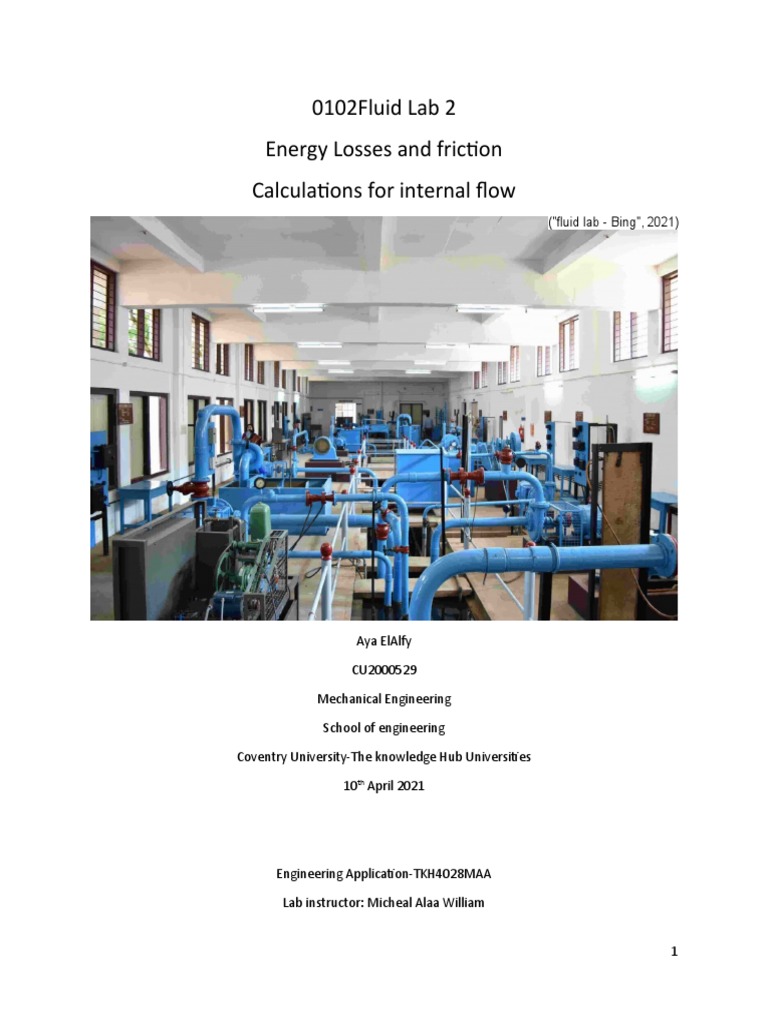 Fluid Lab - Energy Losses | PDF | Fluid Dynamics | Laminar Flow