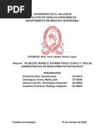 Caudectomia | PDF | Perros | Cirugía