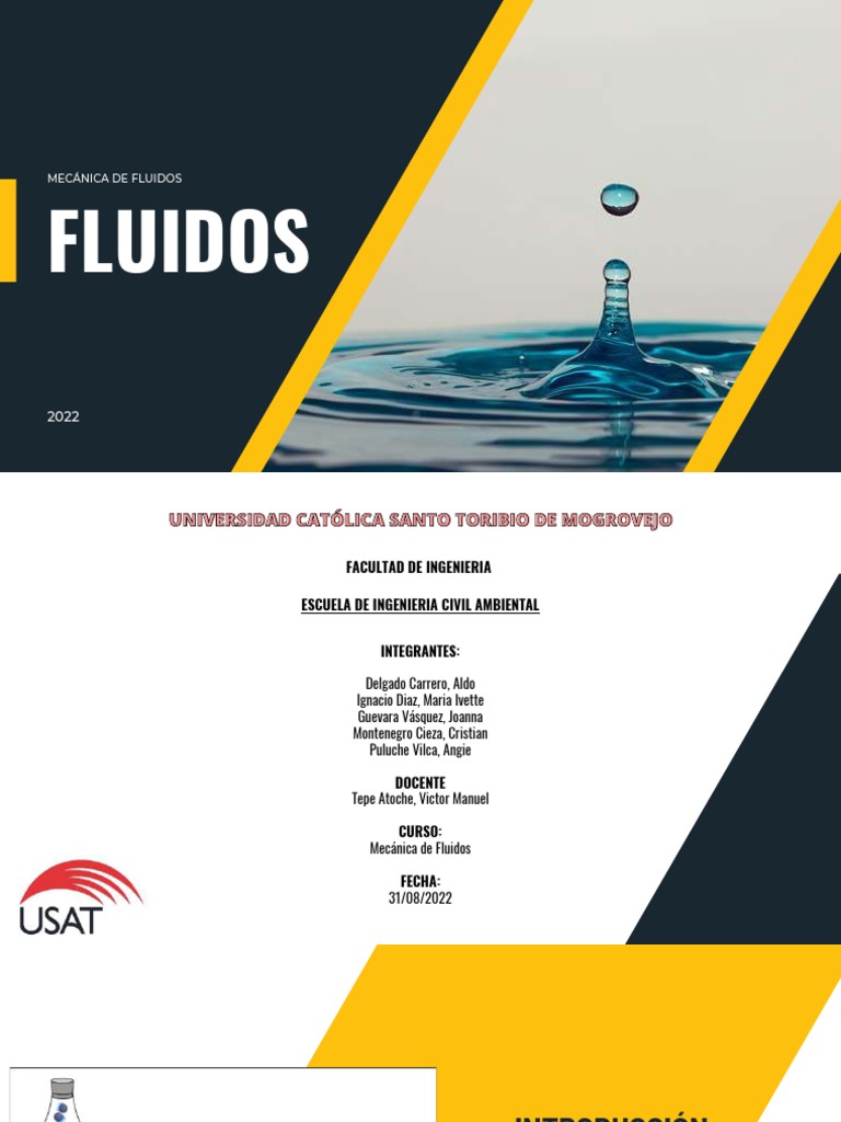 Diapositivas Mecanica de Fluidos | PDF | Gases | Líquidos