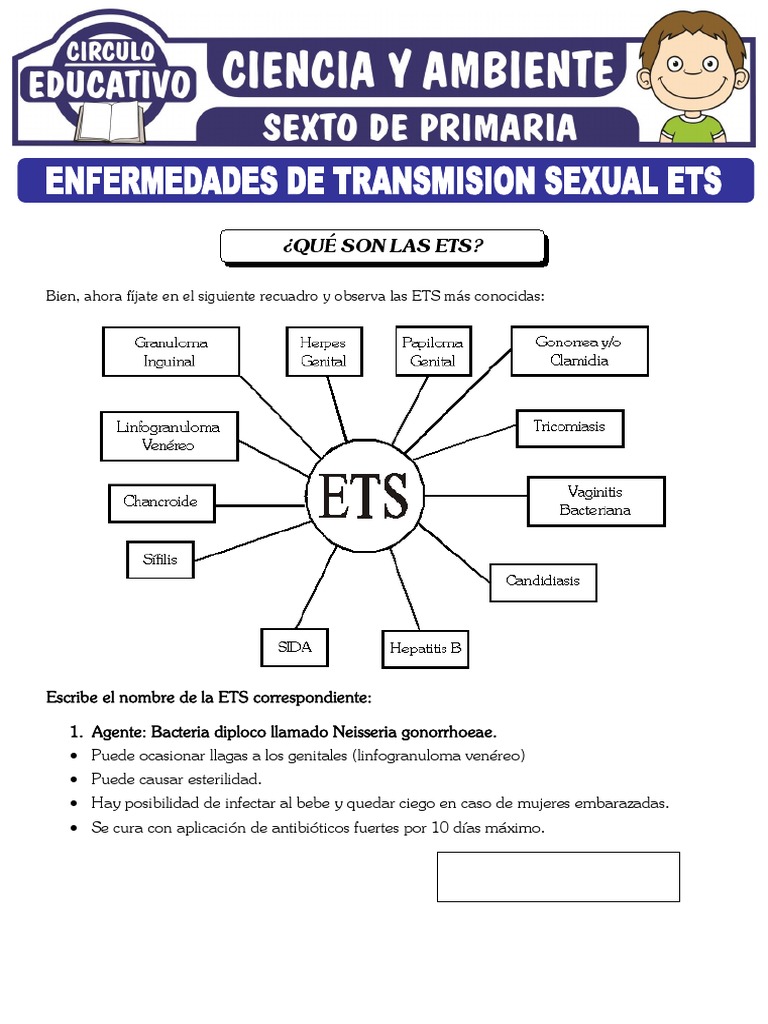 Enfermedades de Transmision Sexual para Sexto de Primaria | PDF | Infección transmitida ...