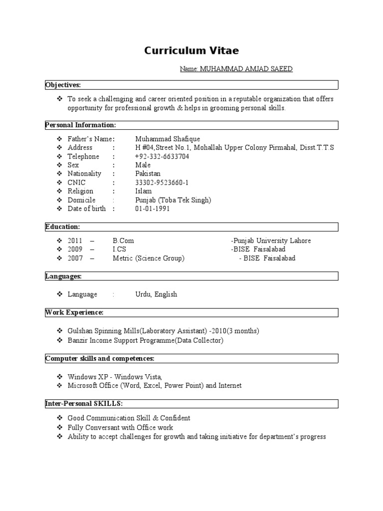 Curriculum Vitae | PDF | Software | Microsoft Windows