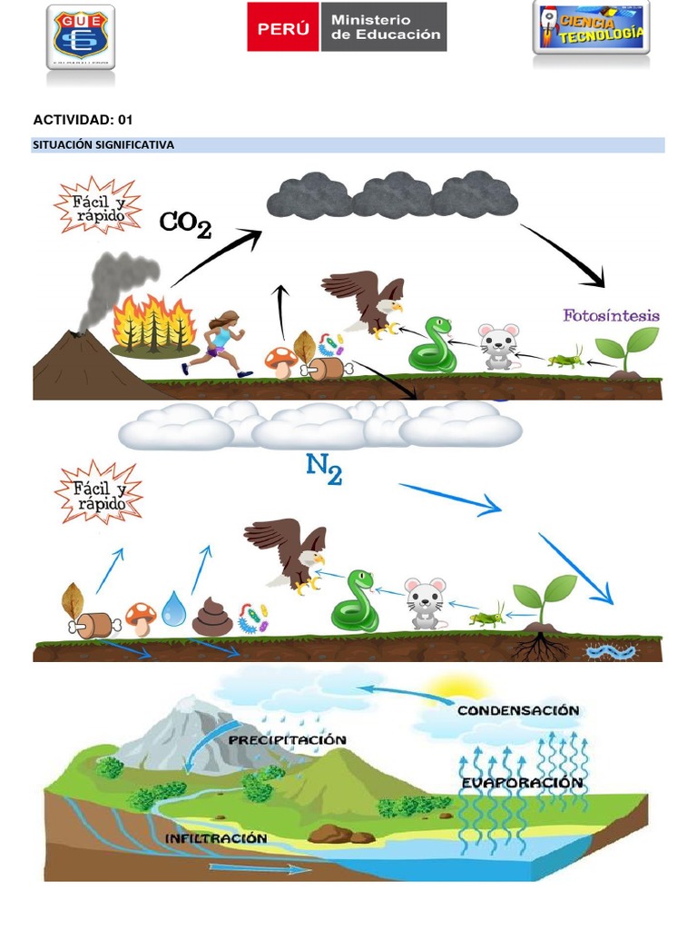 Ciclos de La Materia | PDF | Agua | Dióxido de carbono