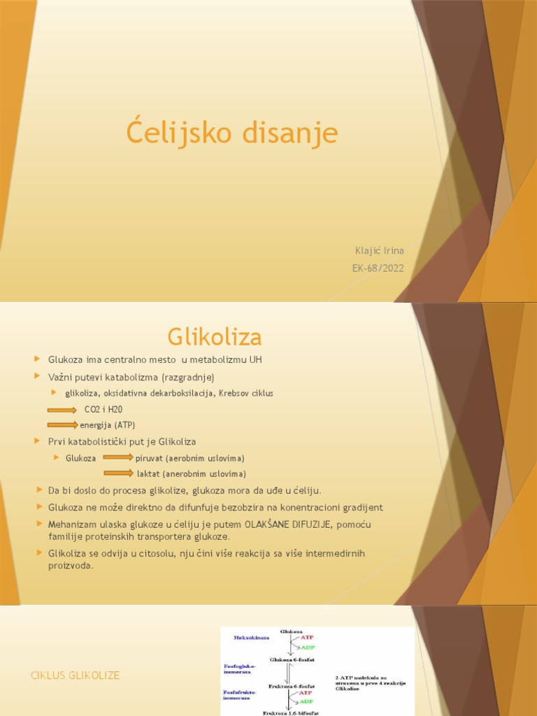 Celijsko Disanje | PDF