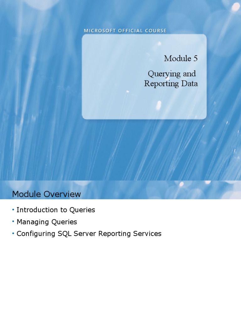 Querying and Reporting Data | PDF | Databases | Object (Computer Science)