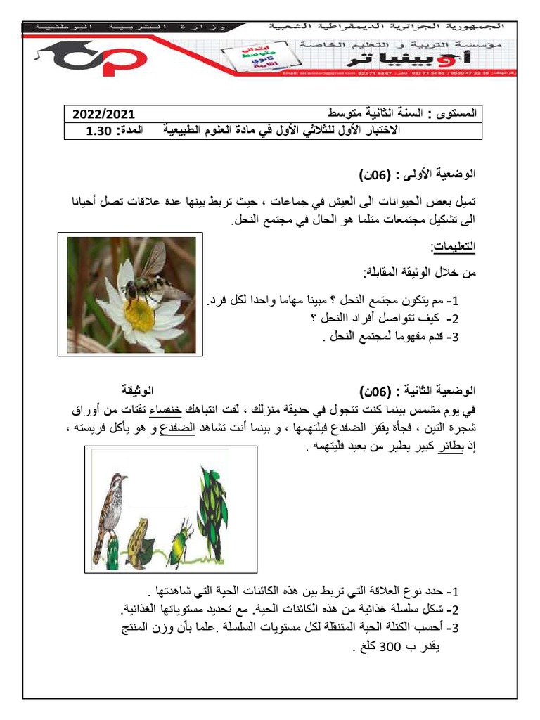 Dzexams 2am Sciences 857161 | PDF