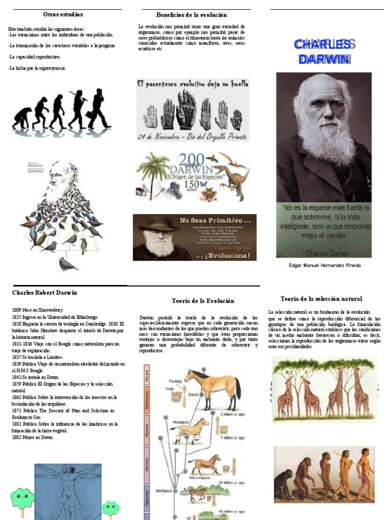 Triptico Evolucion | Descargar gratis PDF | Evolución | Charles Darwin
