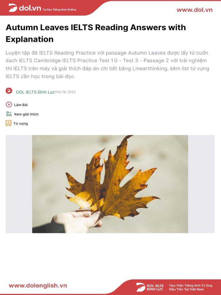 Autumn Leaves | PDF | Leaf | Nature