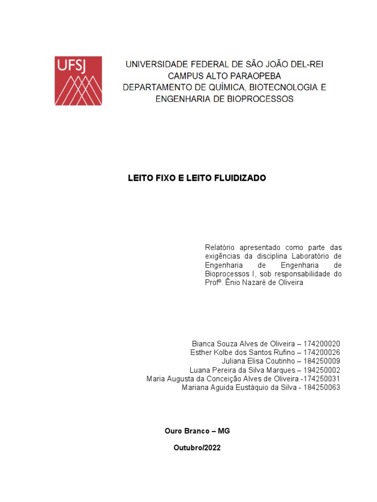 Leito Fixo e Leito Fluidizado - Revisão - Luana. | PDF | Descarga (hidrologia) | Pressão