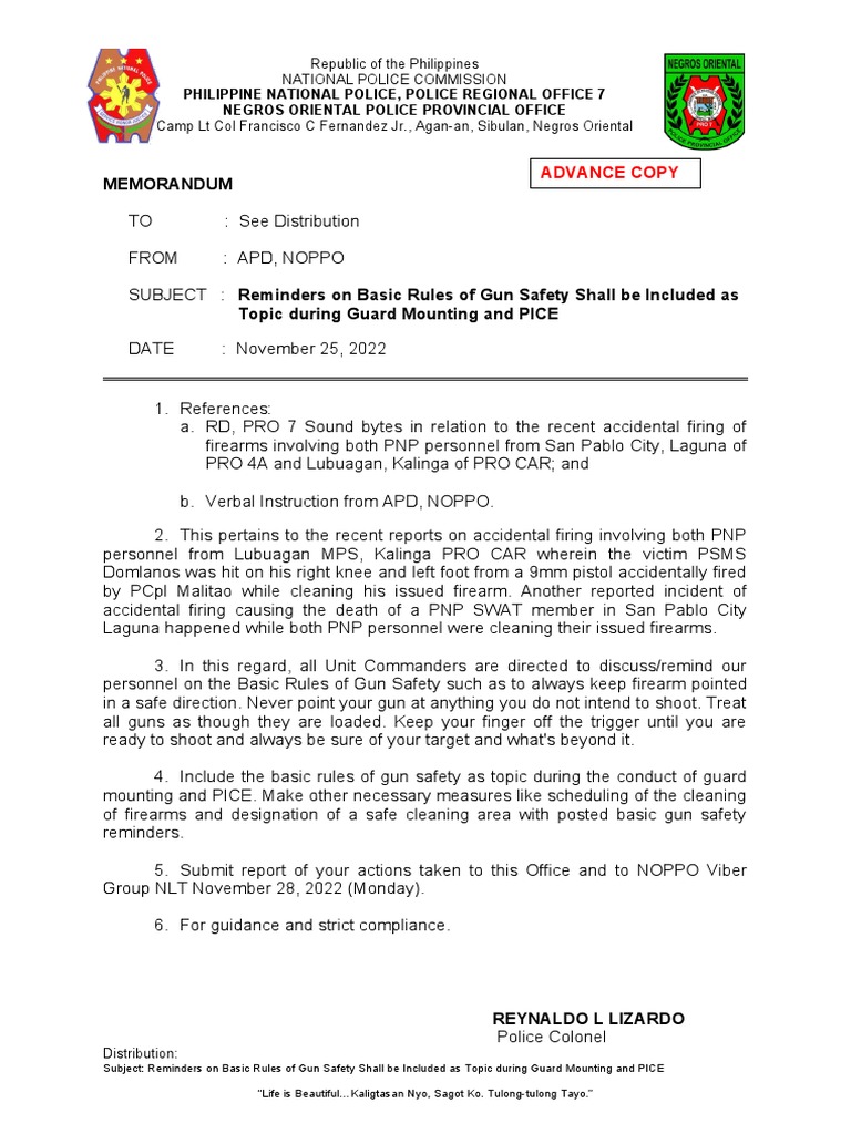 Memorandum Re Gun Safety | PDF | Law Enforcement | Crime & Violence