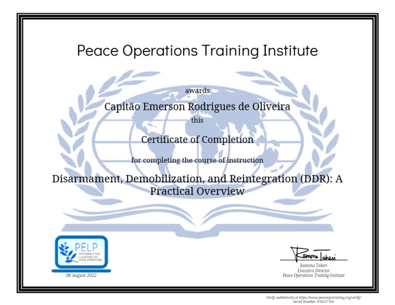 Disarmament Demobilization and Reintegration DDR Practical Overview ... Disarmament Demobilization and Reintegration DDR Practical Overview ...