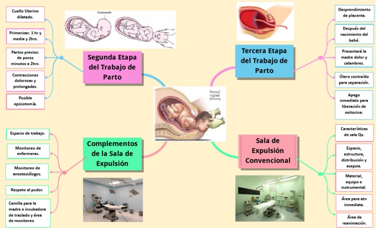 Mapa Mental de La Practica 5 | PDF | Parto | Humanidades Médicas