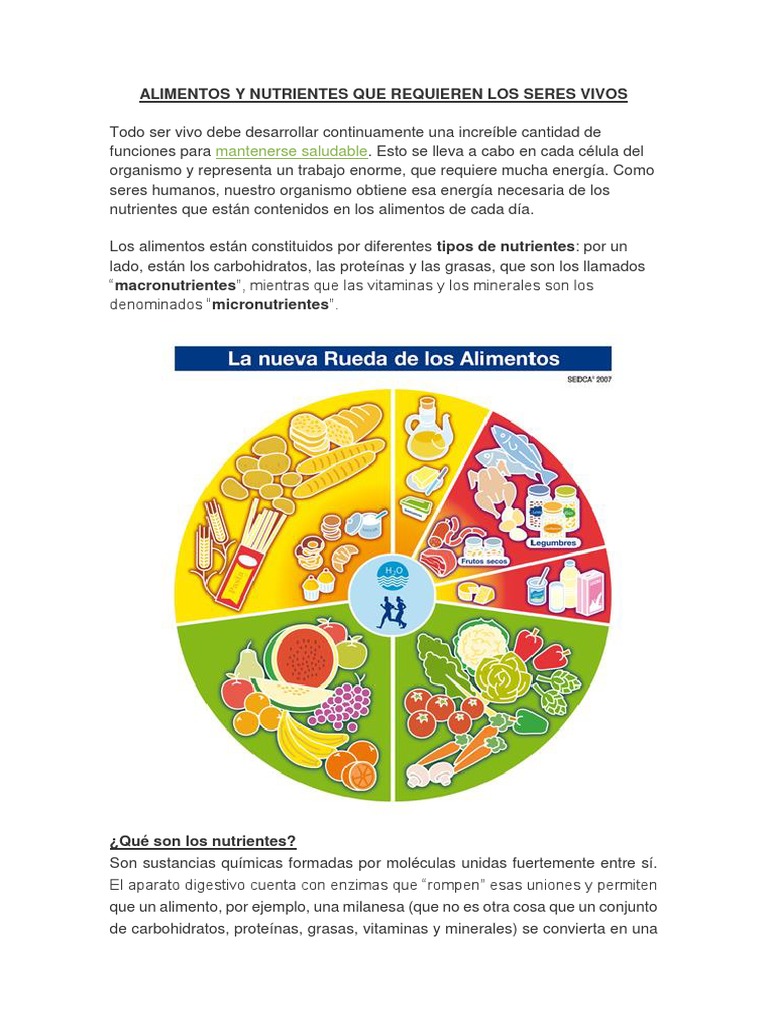 Nutrientes Esenciales en Alimentos | PDF | Nutrientes | Alimentos