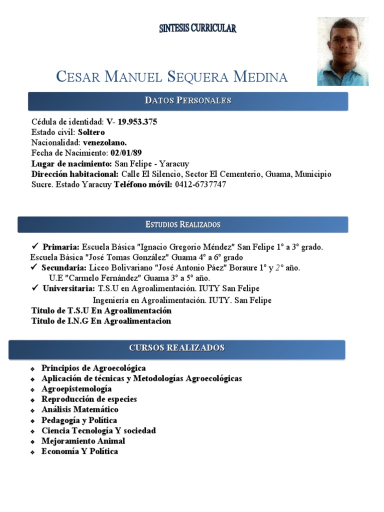 Perfil Profesional de César Sequera | PDF