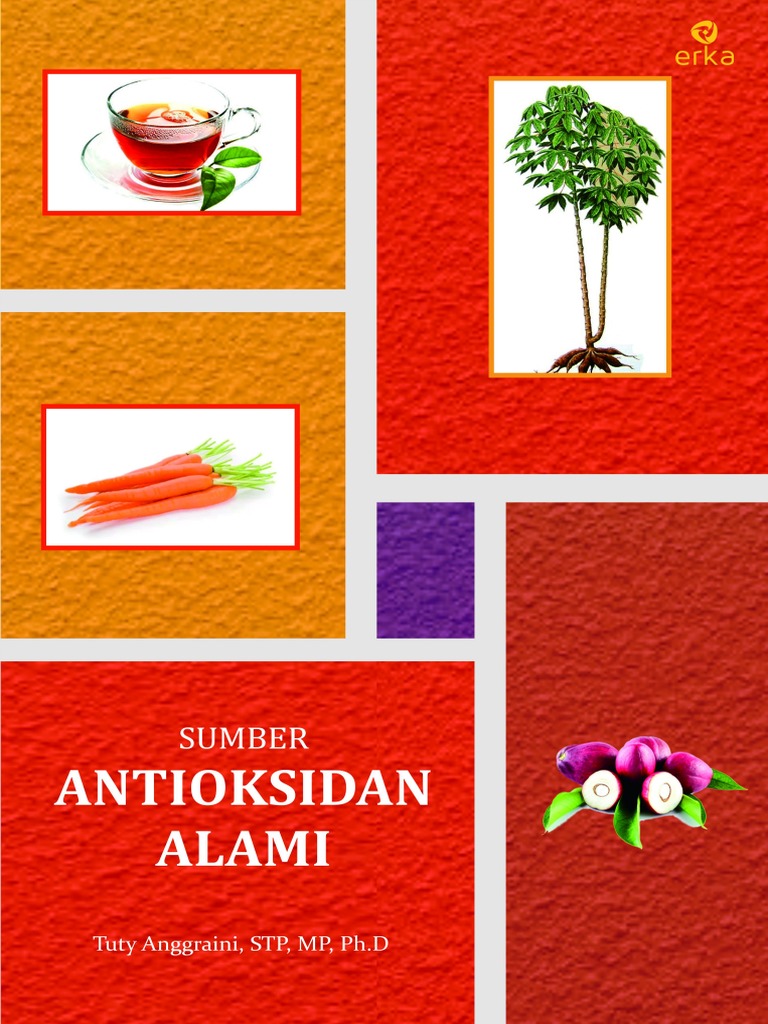 Sumber Antioksidan Alami | PDF