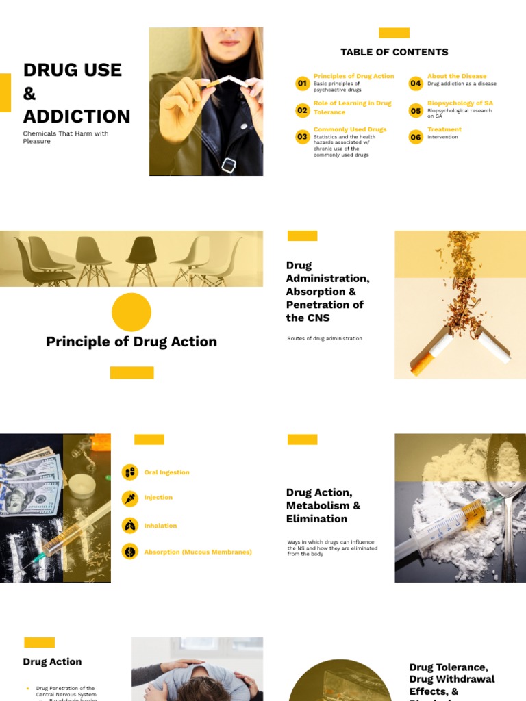 Drug Use & Drug Addiction | PDF | Substance Abuse | Cannabis (Drug)
