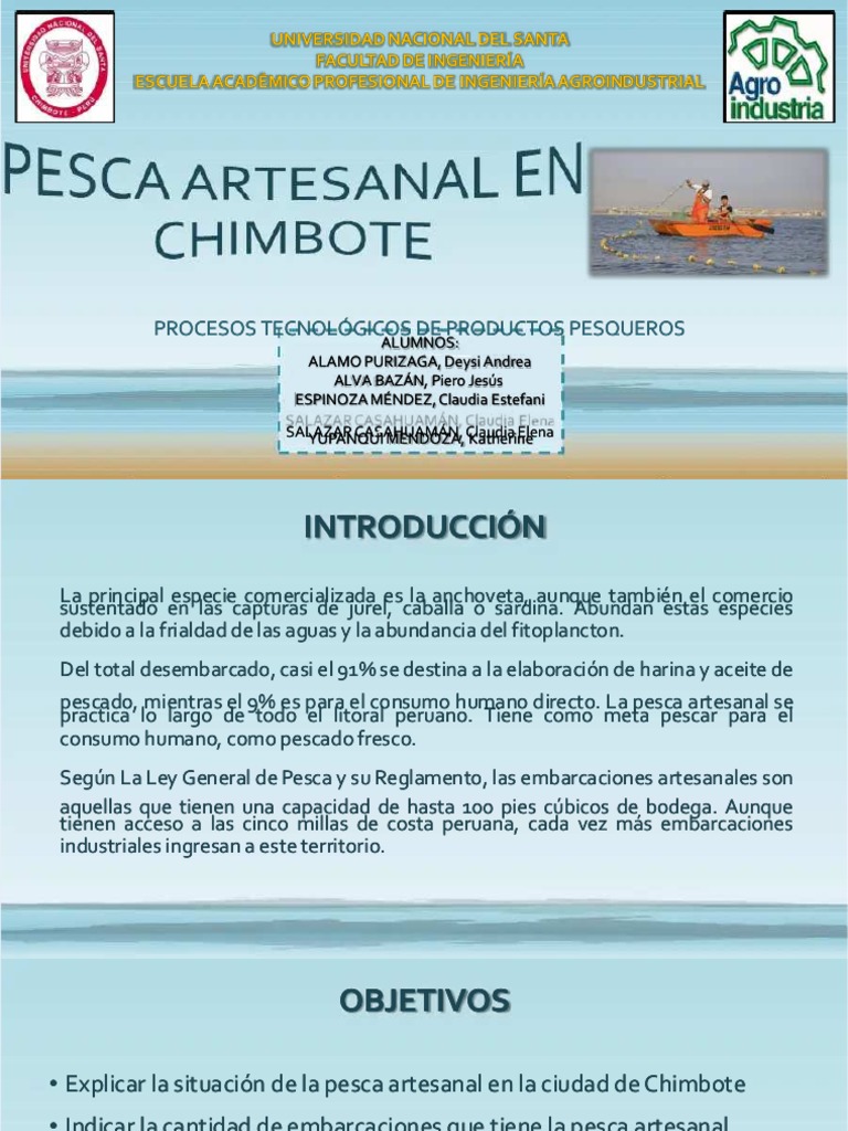 Procesos de Pesca Artesanal en Chimbote | PDF