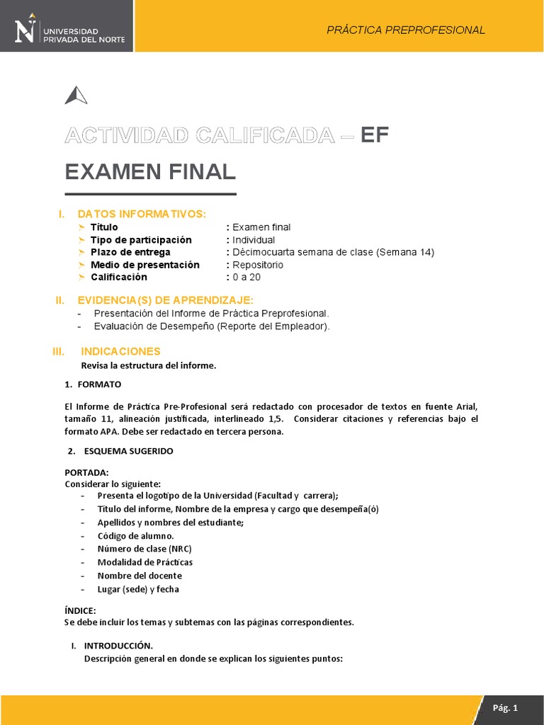 Examen Final de Práctica Preprofesional | PDF | Business | Prueba (evaluación)