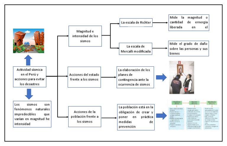 Organizador Grafico | PDF
