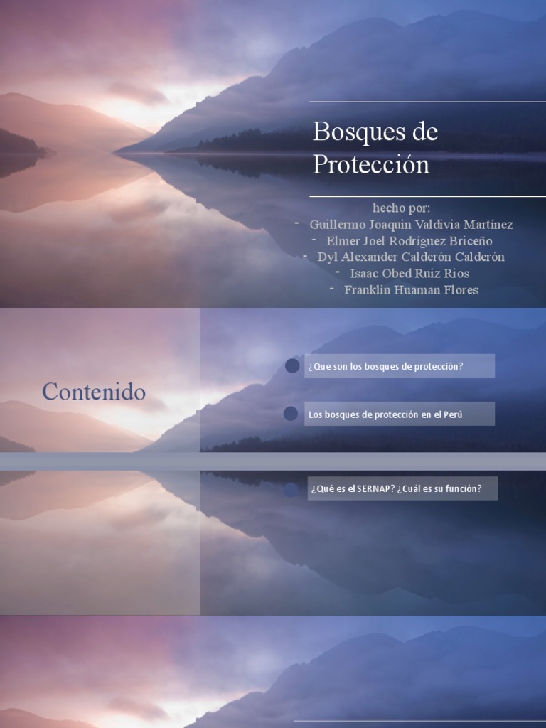 Bosques de Protección | PDF | Desierto | Los bosques