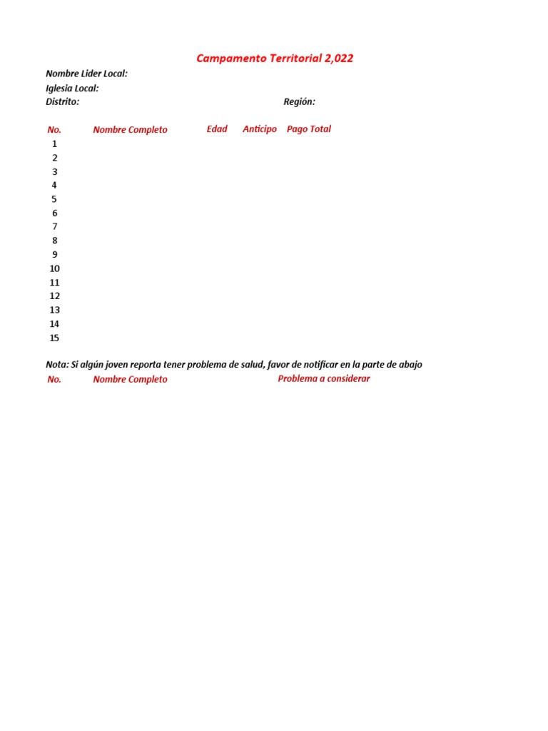 Reporte Lider Local | PDF