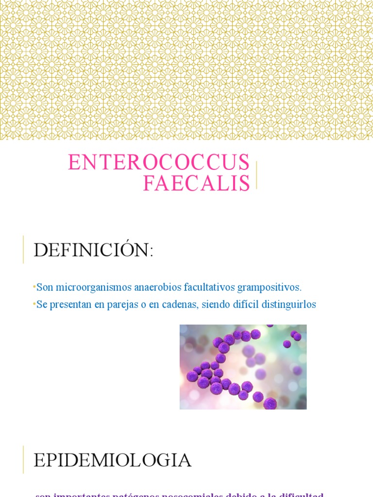 Enterococcus Faecalis | PDF | Ciencias de la Salud | Enfermedades y ...